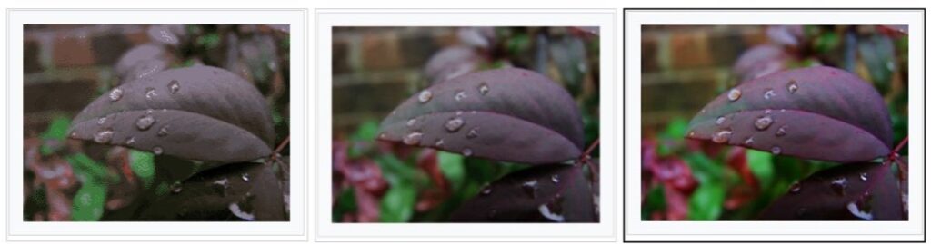 The Science – Hue Lens